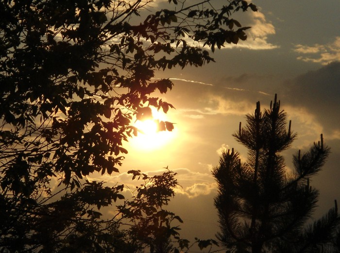 Poetry and writing from Artist Ethar Hamid who tackles mental illness ...