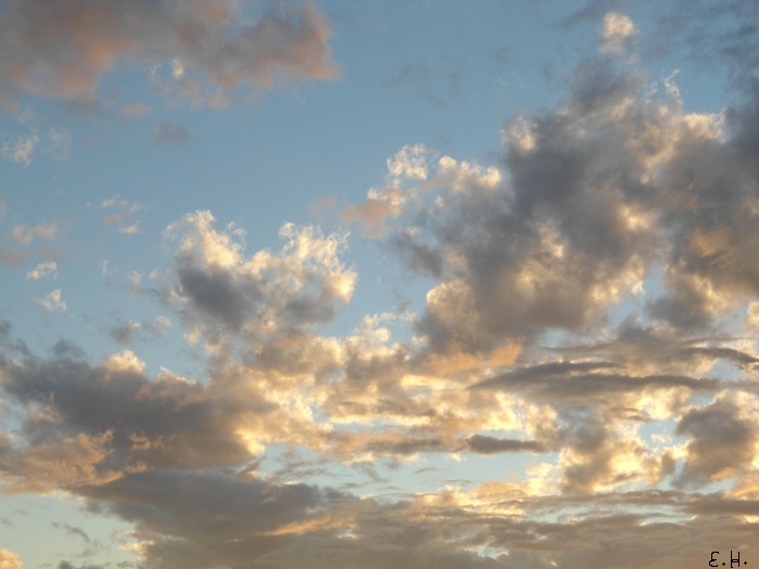 Poetry and writing from Artist Ethar Hamid who tackles mental illness ...