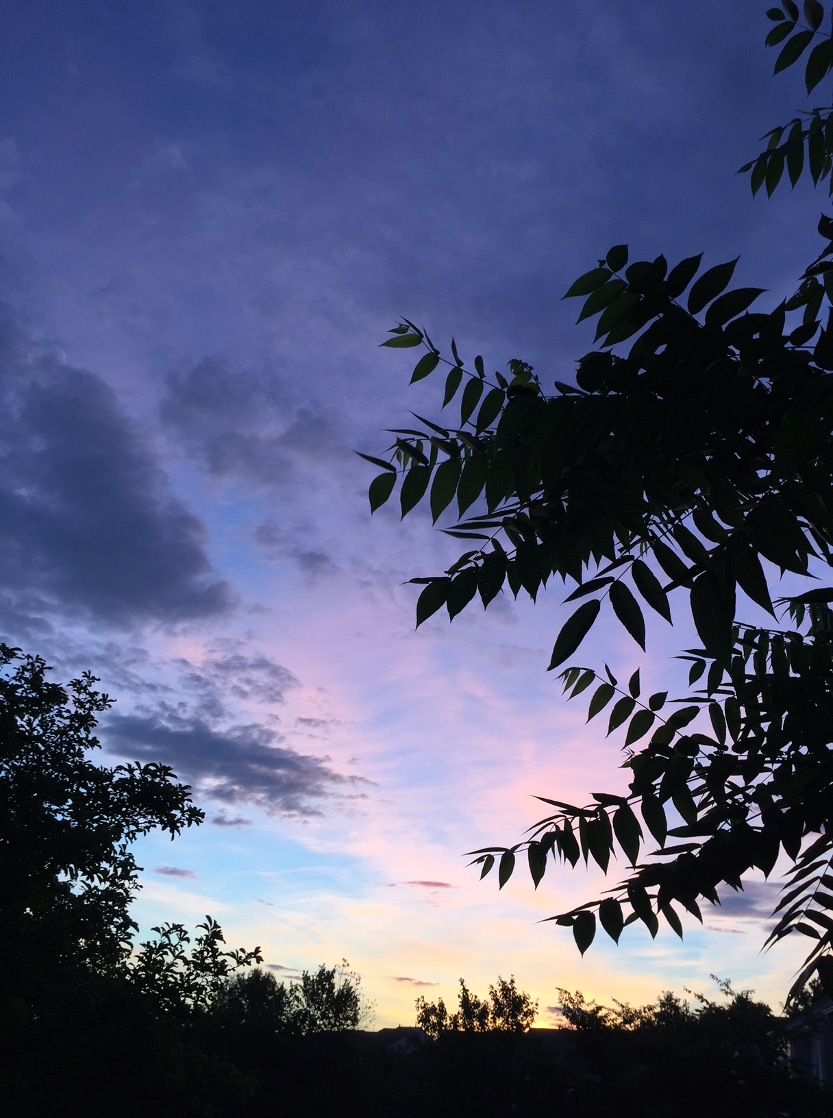 Poetry and writing from Artist Ethar Hamid who tackles mental illness ...