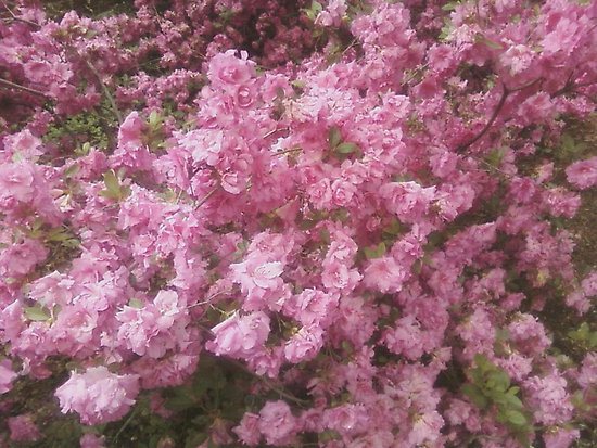 Poetry and writing from Artist Ethar Hamid who tackles mental illness ...